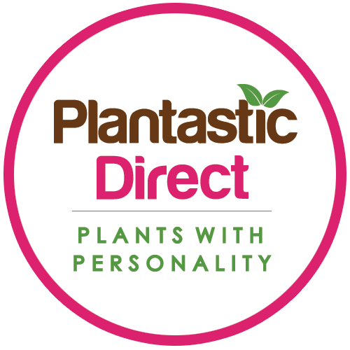 Grower's Choice Starter Plant — Plantastic Direct